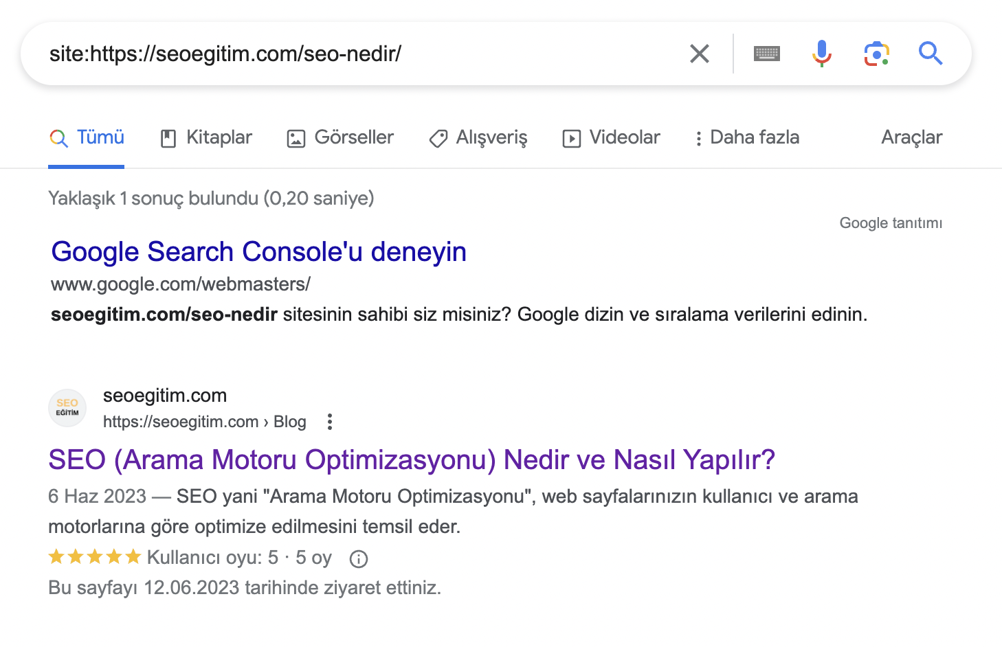 Google Index (Dizin) Nedir? - SEO Eğitim